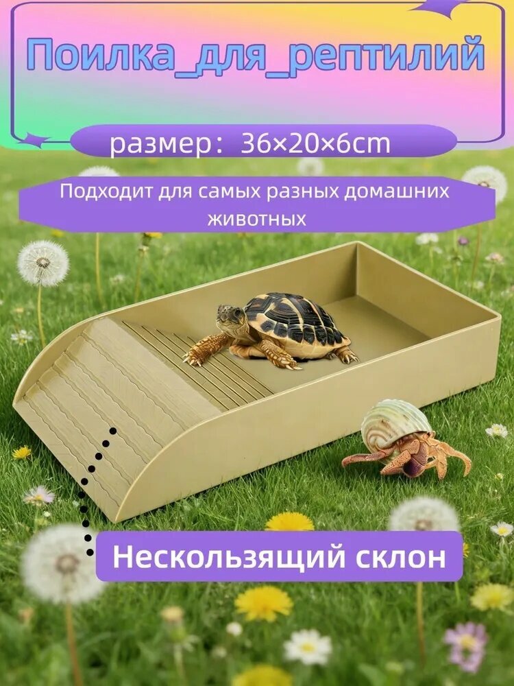 Кормушка-поилка для черепах и рептилий с антискользящим спуском, чаша для воды и еды, многоразовая, аксессуар для террариума