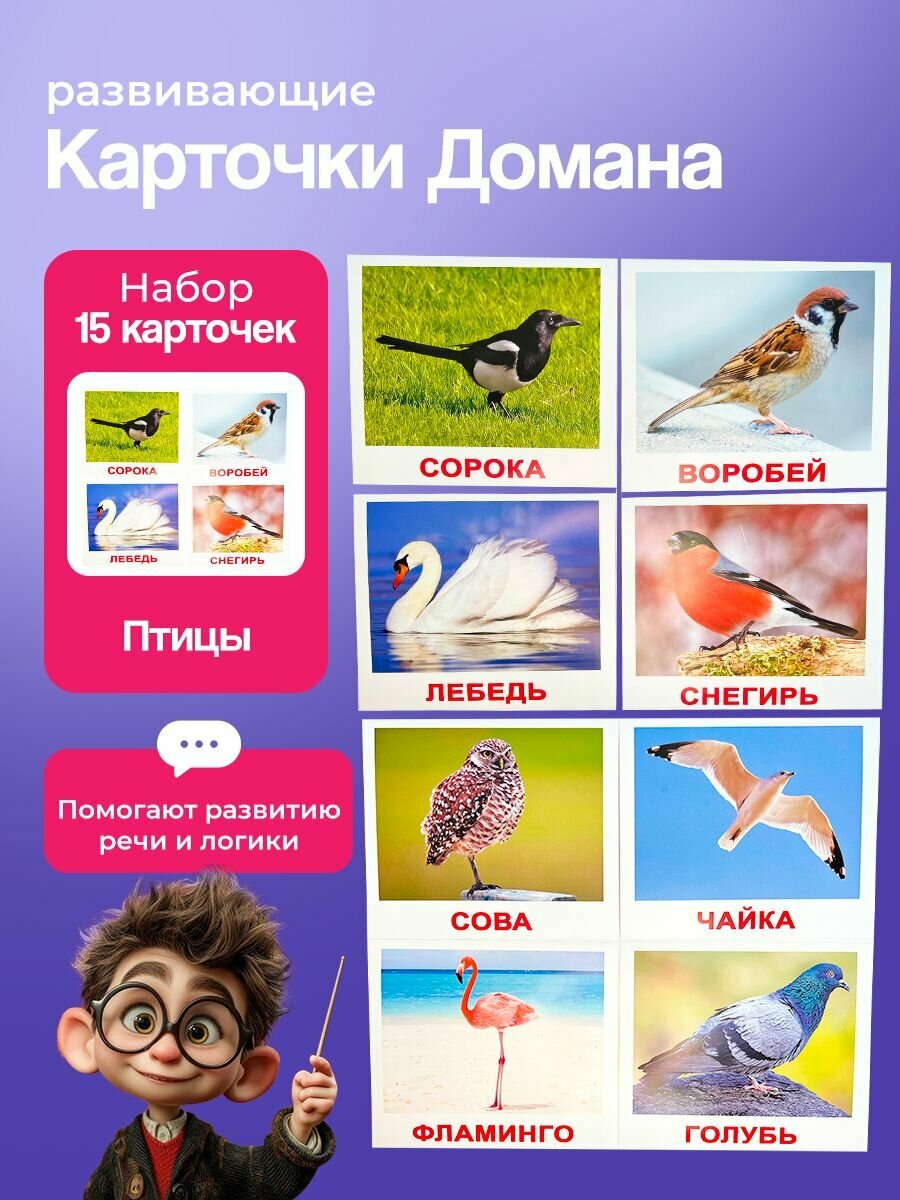 Комплект карточек Птицы 15 шт. по методике Г. Домана