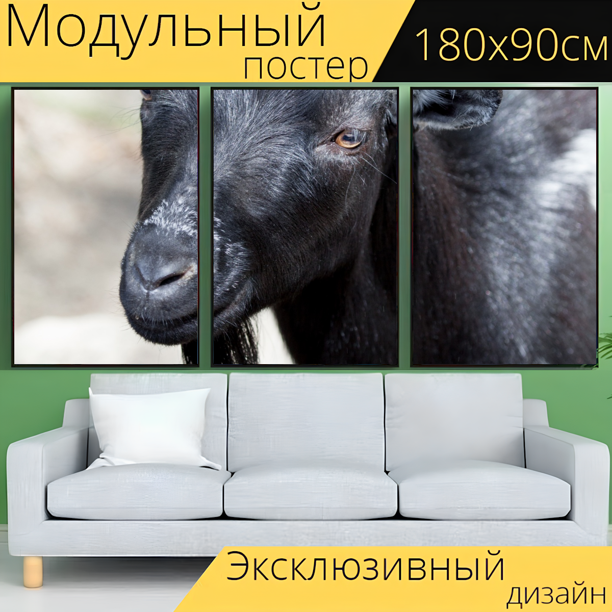 Модульный постер "Черно-белая коза Черно-белая коза стоя животные черный белый уши фермы сельское хозяйство коза коз голова." 180 x 90 см. для интерьера на стену в тубусе