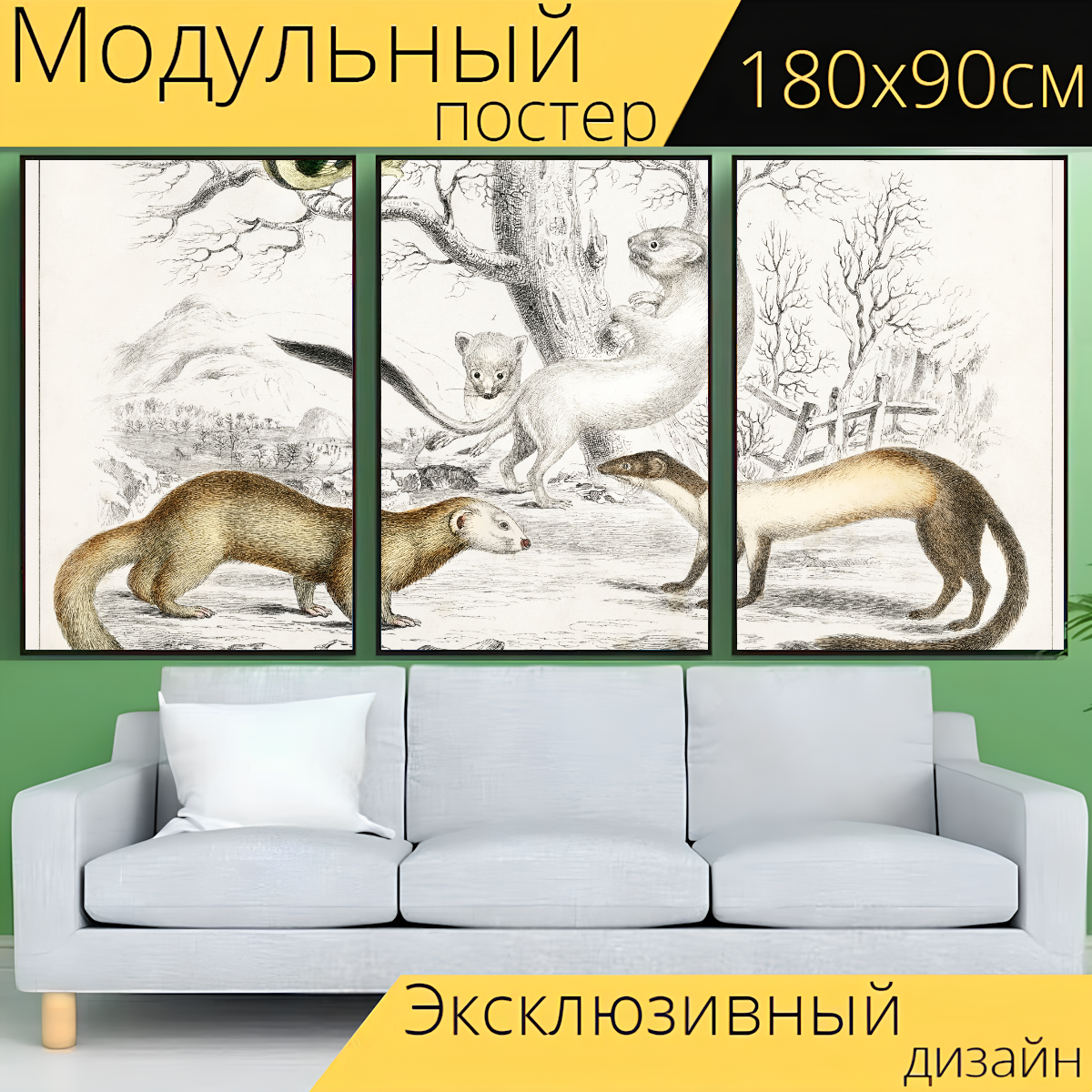 Модульный постер "Млекопитающие Куница Винтаж старый Млекопитающие Куница Горностай Хорек Ласка Винтаж Иллюстрация Рисунок Старый." 180 x 90 см. для интерьера на стену в тубусе