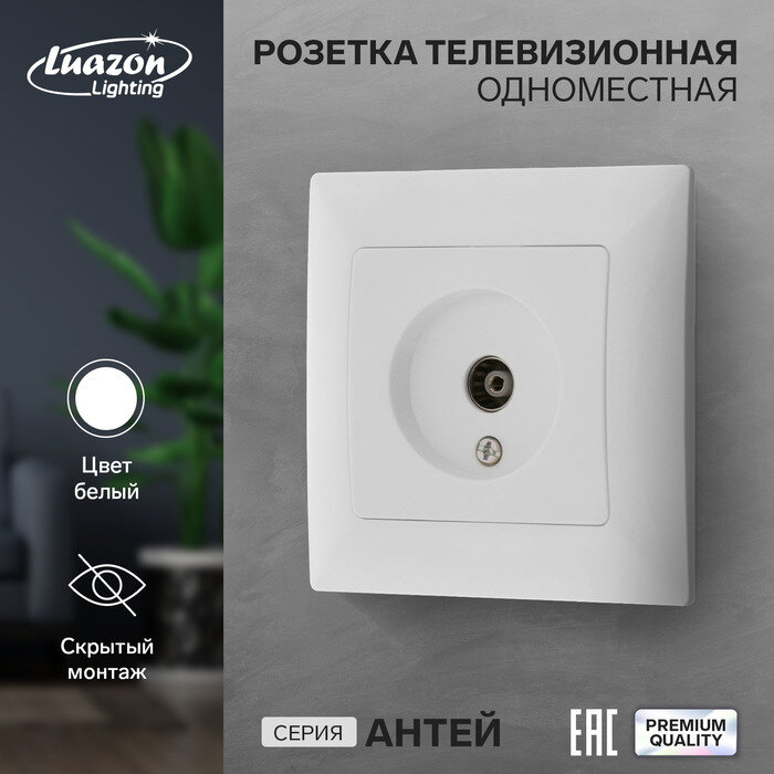 Розетка телевизионная одноместная Luazon Lighting "Антей", скрытая, белая 9925789