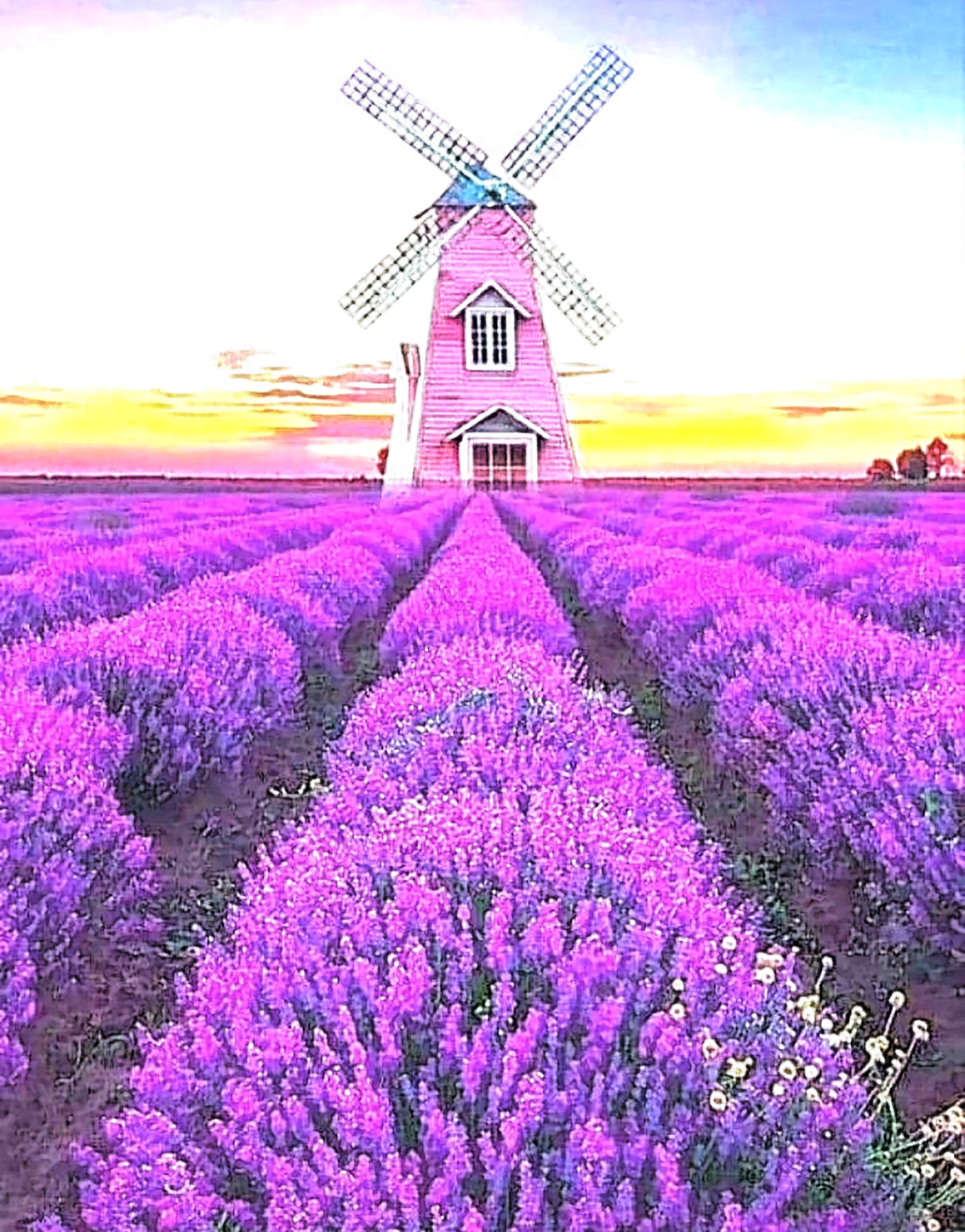 Картина по номерам "Лавандовое поле" 40х50 см, хлопковый холст на подрамнике, акрил, Hobby Home