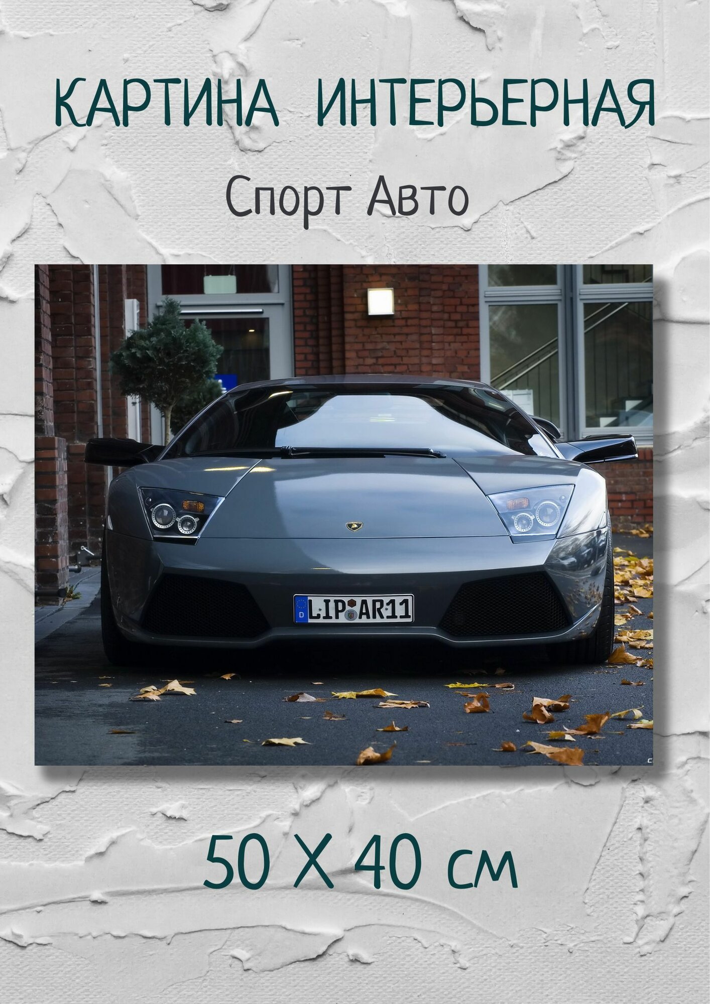ФотоКартина со суперкаром автомобилем "Lamborghini осенью"