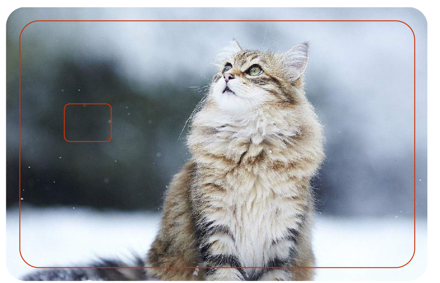 Наклейка на банковскую карту, стикер на карту, сибирский кот