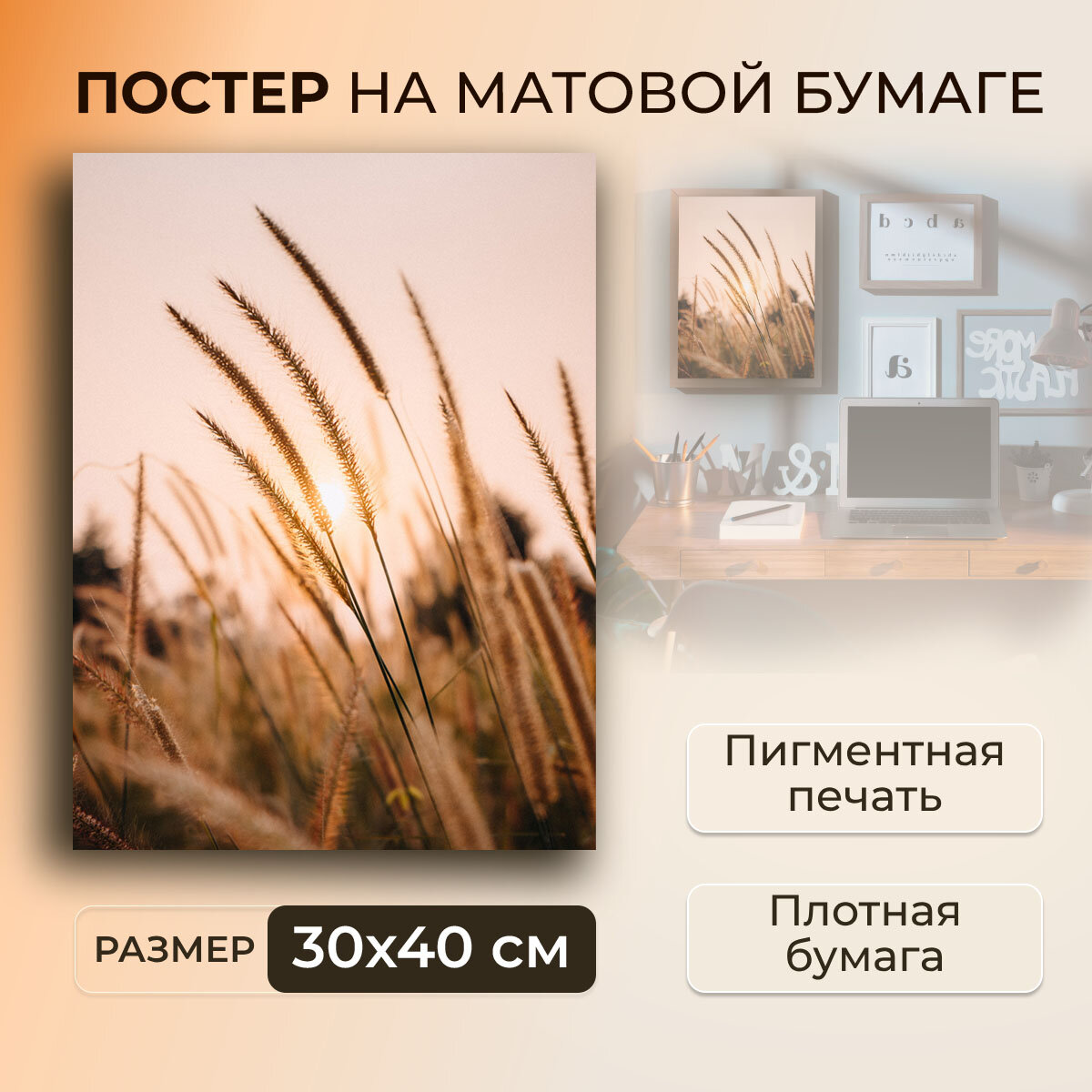 Постер, плакат на бумаге / Пшеница / Размер 30 x 40 см