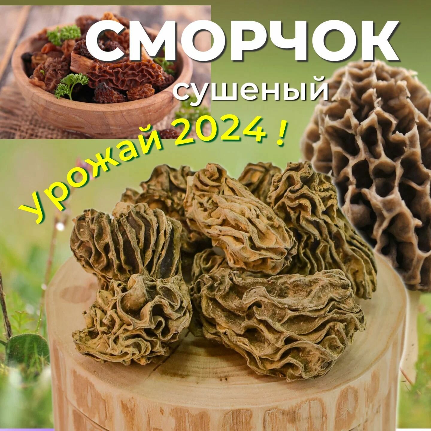Сморчок сушеный Naturalika грибы сухие 1000 гр. Урожай 2024г. Высший сорт