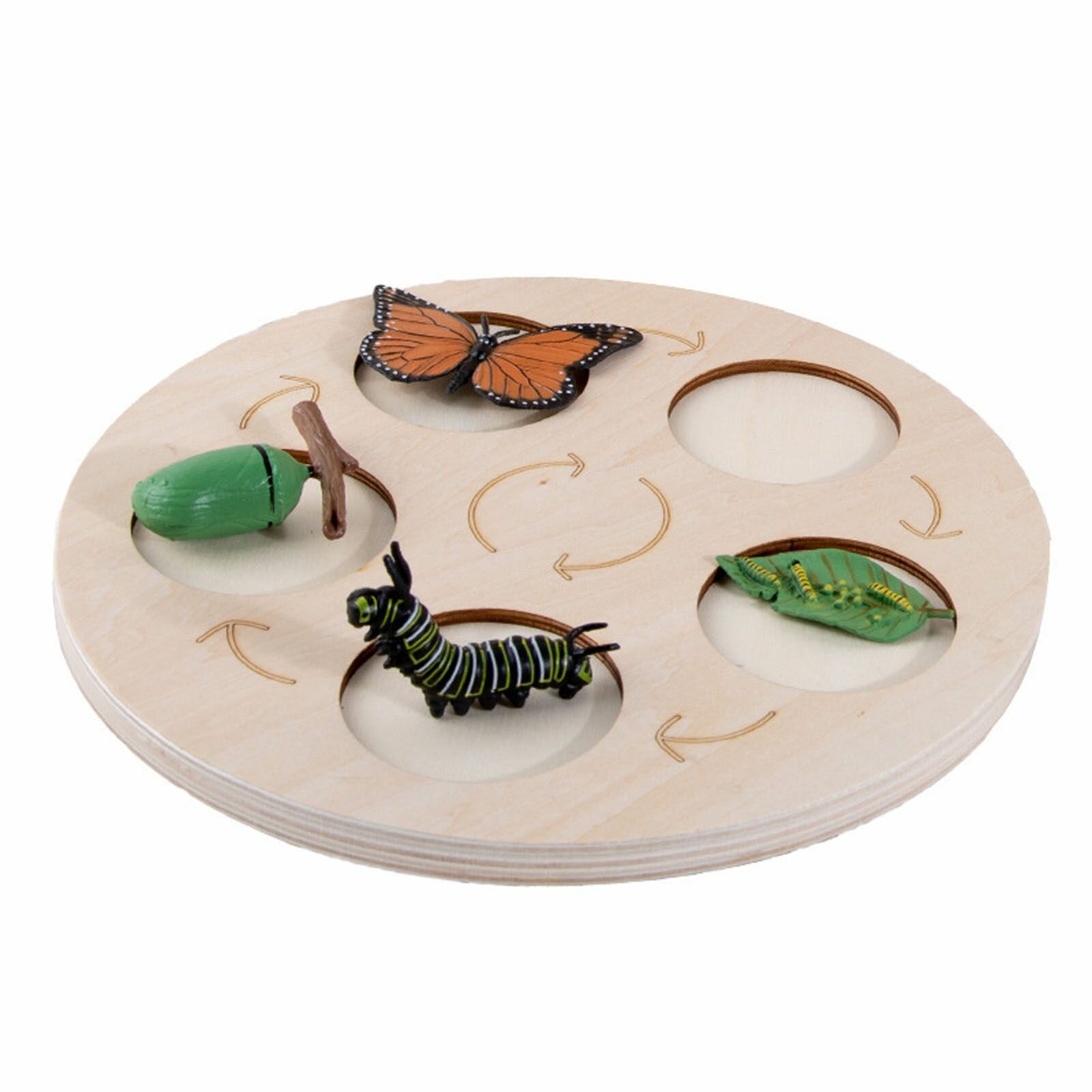 Игрушка "Цикл роста" для дошкольников