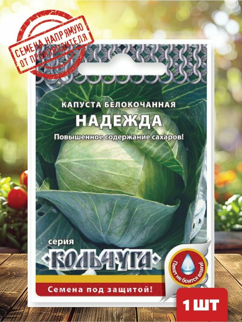 Семена Капуста б/к Надежда "Кольчуга NEW"