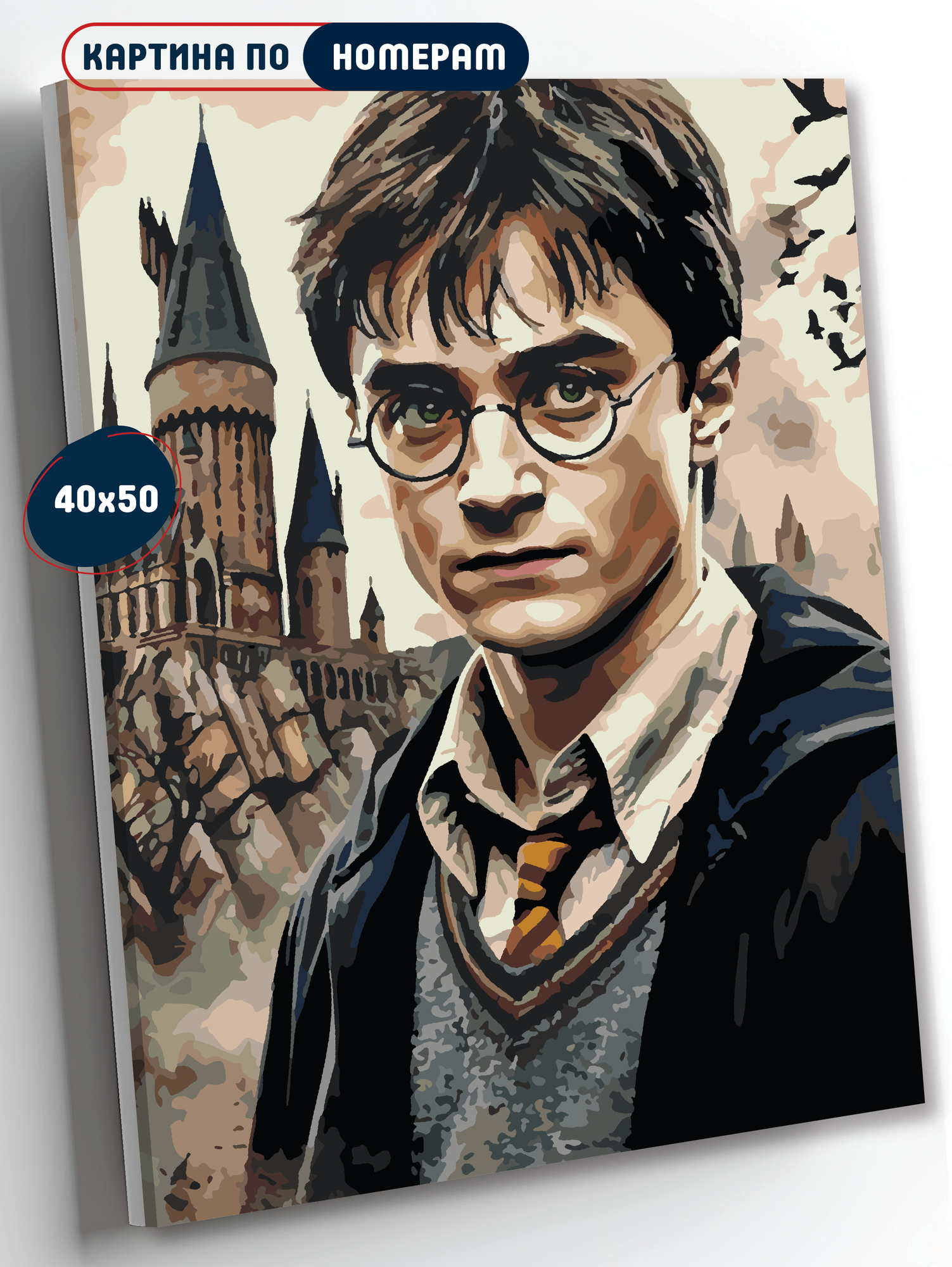 Картина по номерам "Гарри Поттер" Холст на подрамнике 40х50, набор для рисования