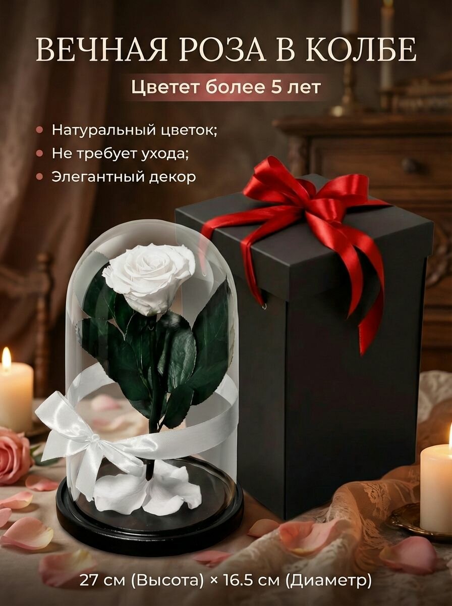 Стабилизированные цветы в стекле, Роза в колбе живая Премиум белая 27x16,5 см c подарочной коробкой, GIFT4YOU