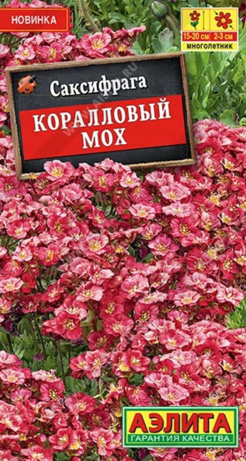 Семена Саксифрага Коралловый мох (0,01 г), многолетник, Агрофирма Аэлита