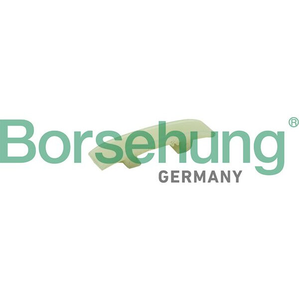 Успокоитель цепи ГРМ для автомобиля, BORSEHUNG B1G012 (1 шт.)