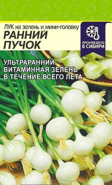 Семена Лук на зелень и мини-головку Ранний Пучок