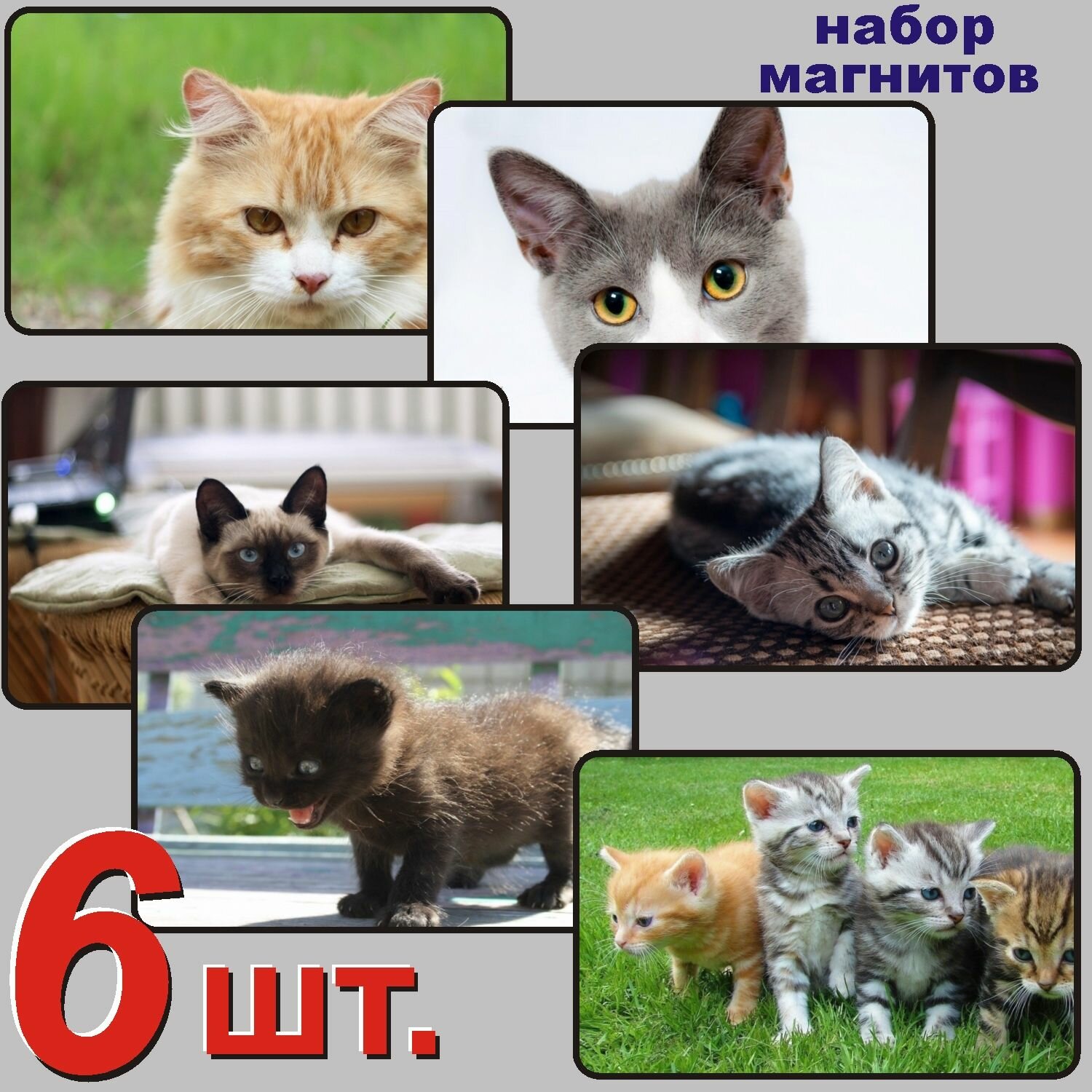Котики набор магнитов 54x86мм 6 шт.