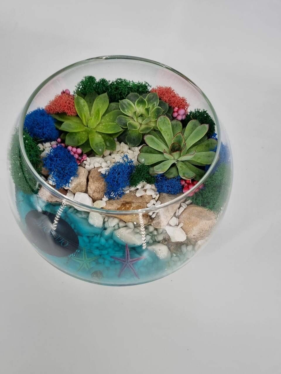 Флорариум с суккулентами и водоёмом "Райский остров" для любимой девушки, флорариум озеро