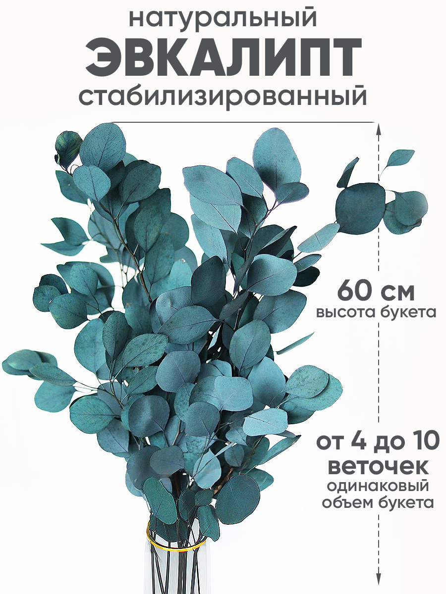 Эвкалипт стабилизированный декор сухоцвет