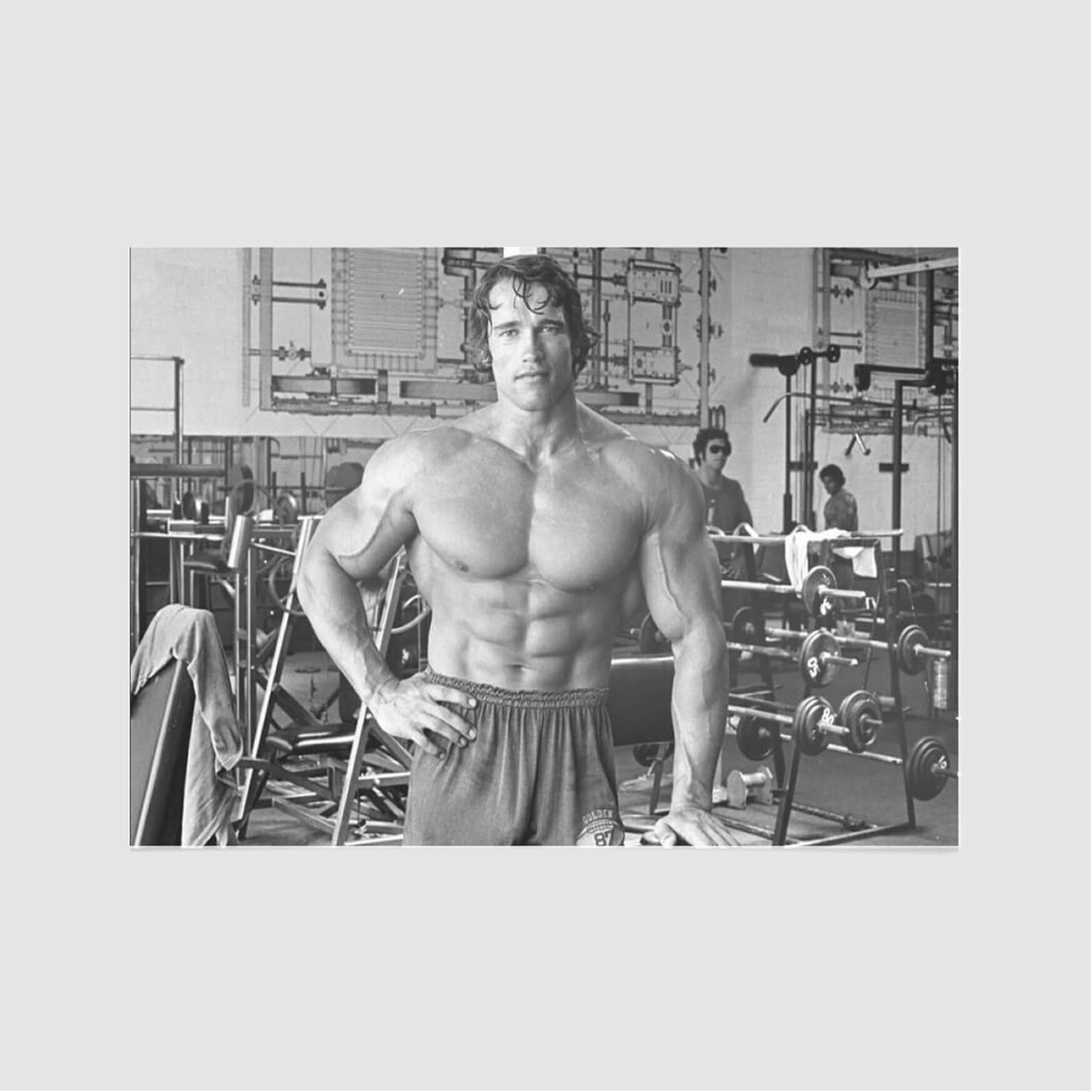 Постер (плакат) Арнольд Шварценеггер 60x40 см. от Poster4me