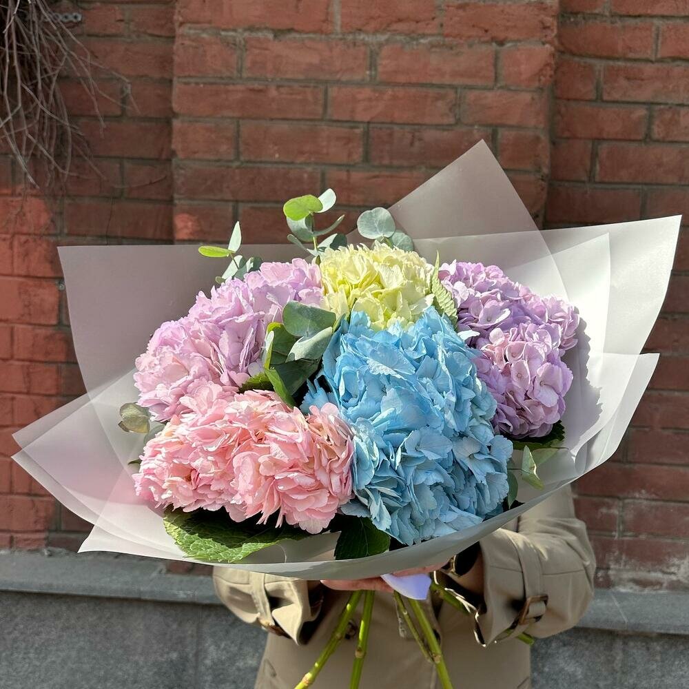 Монобукет Protea "Гортензия", гортензии, 5 цветов, высота 60 см