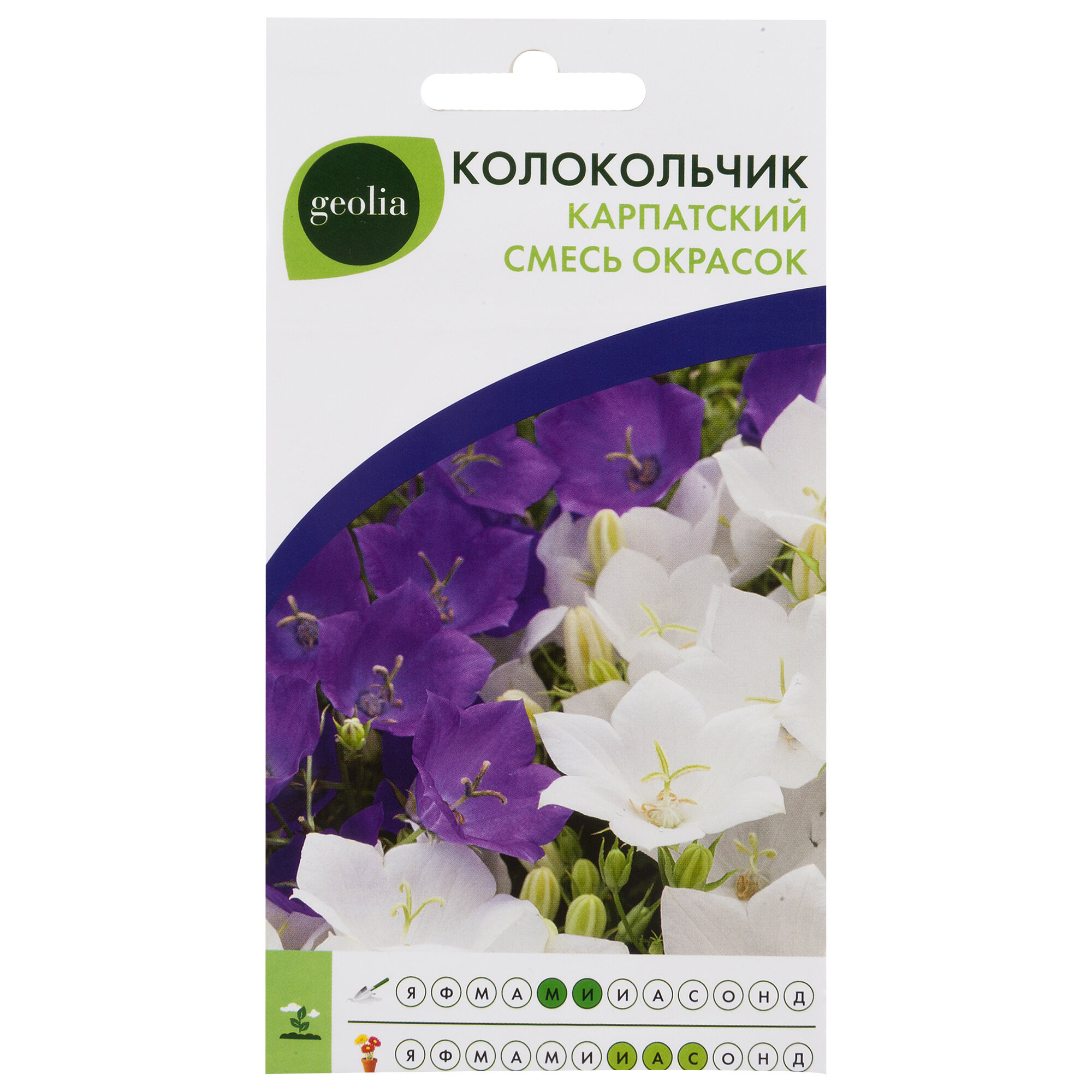 Колокольчик Карпатский Geolia смесь окрасок, для дачи, сада, огорода и на рассаду