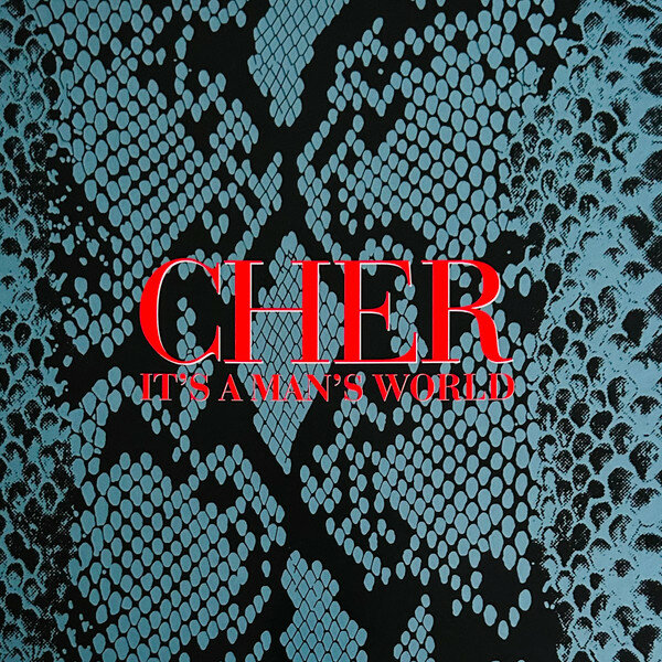Cher "Виниловая пластинка Cher It's A Man's World"