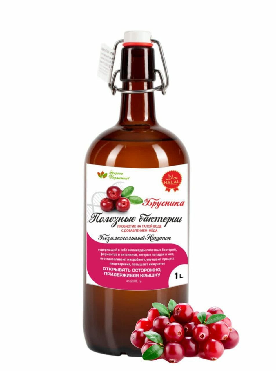 Энзим. Пробиотик "Энергия Ферментов" (брусника) , на талой воде, с медом, пробиотики