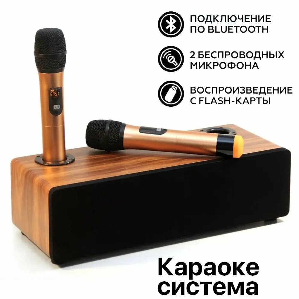 KNOW EASY-Караоке система для дома с двумя микрофонами