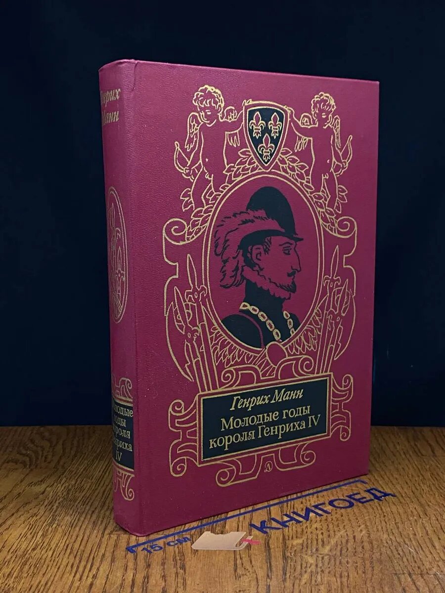 Книга. Молодые годы короля Генриха IV 1991 (2042636153017)