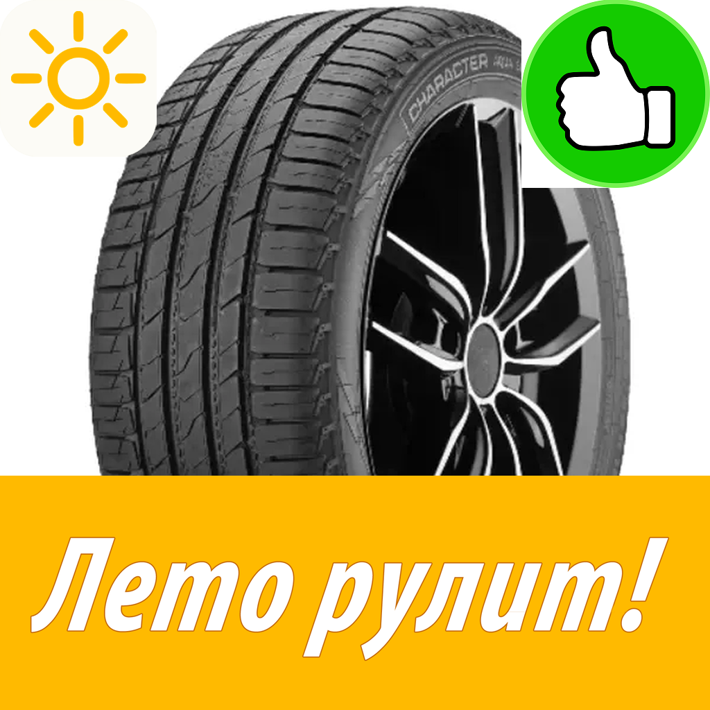 Летняя Шина 225/65R17 Ikon Tyres Character Aqua Suv 102 H для легковых автомобилей