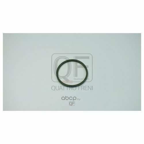 Кольцо уплотнительное Quattro Freni QF54A00057