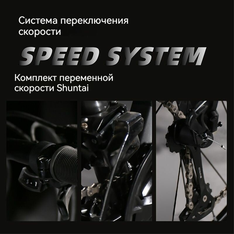 Велосипед городской FLYING PIGEON 3D, 24 скорости, стальная рама, размер рамы 26", рост 155-185