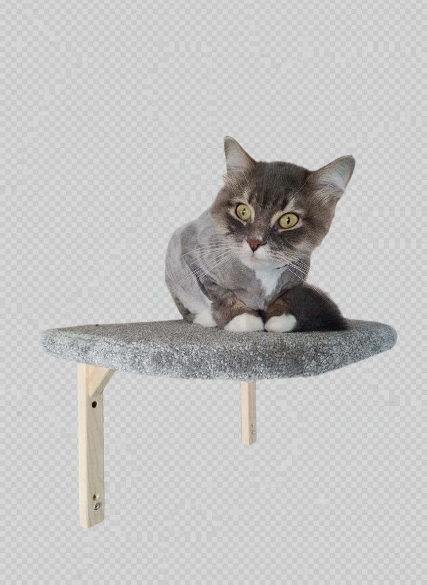 Лежанка для кошек, Моя Котя, настенная, ковролин светло-серый, 50х30 см