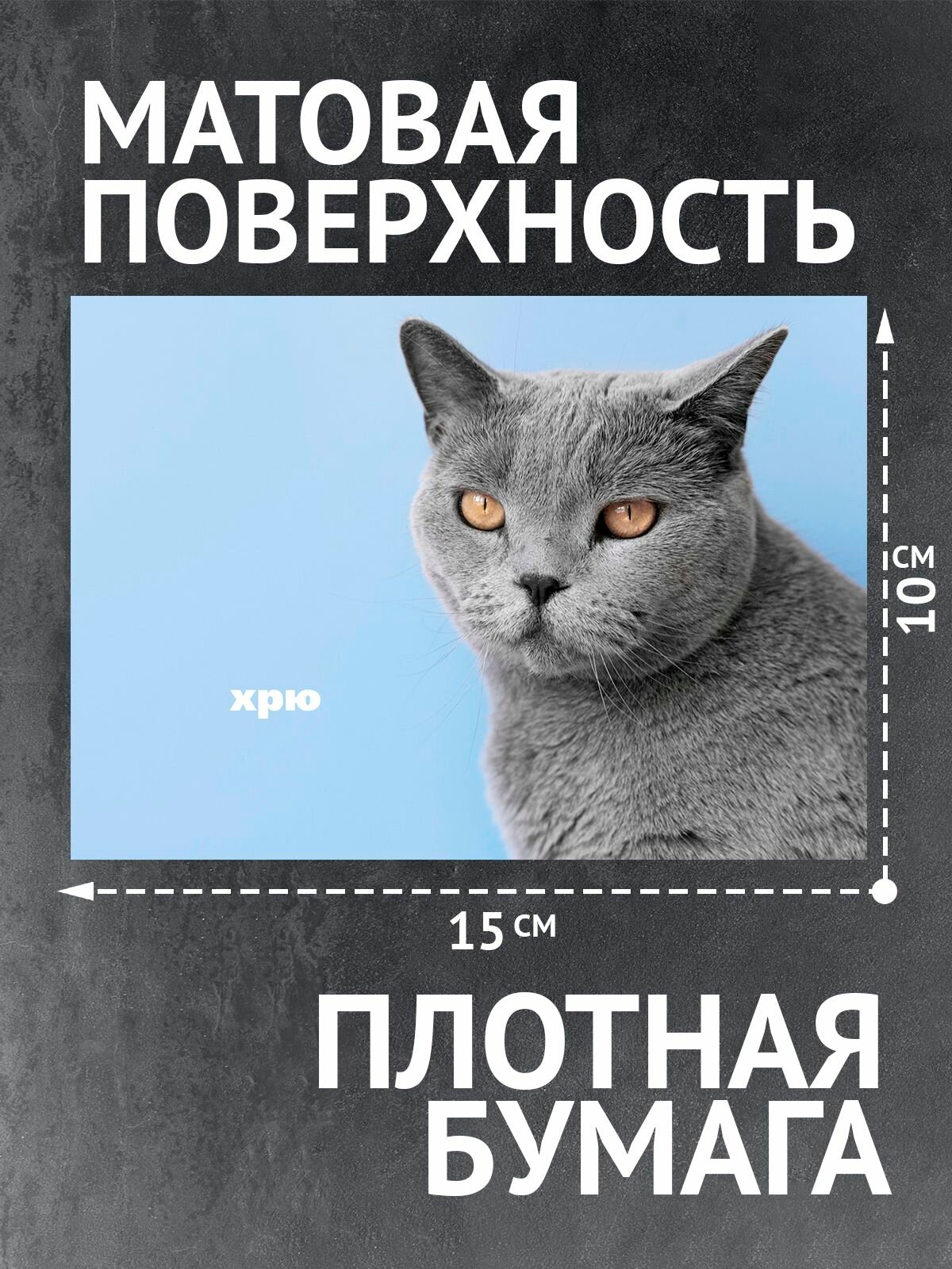 Подарочная открытка с уникальной иллюстрацией котик "Хрю" с днем рождения, с юбилеем, без повода