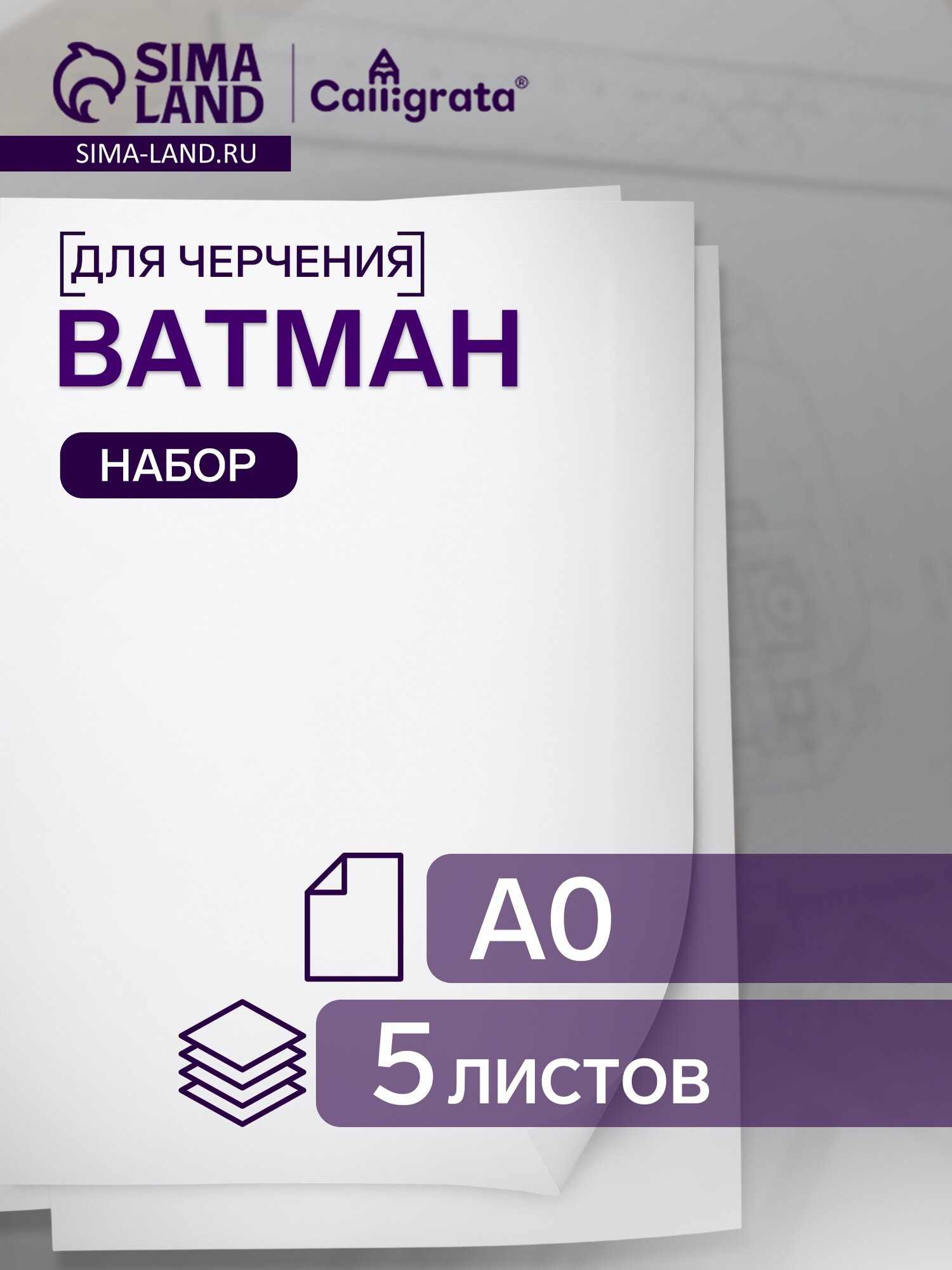 Набор 5 листов ватман, чертежный, А0, 840×1189, 200 г/м²