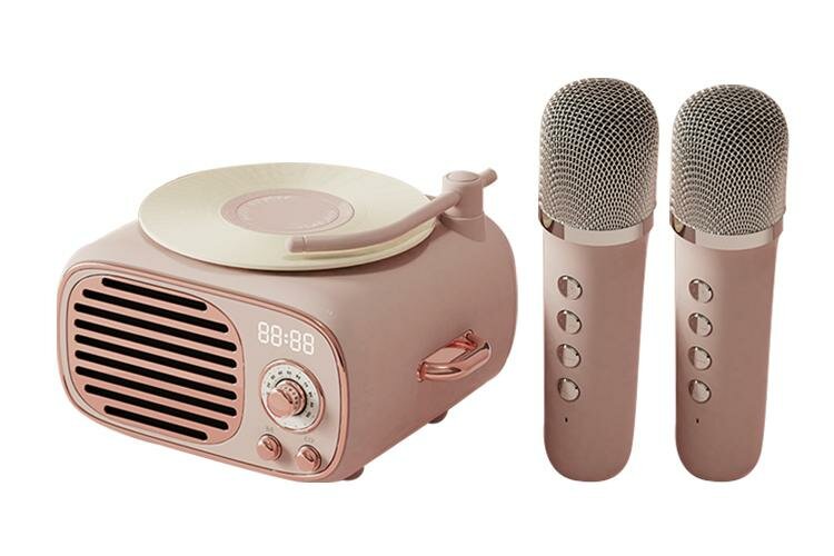 Беспроводные колонки D.K. CREATIVE WORKSHOP Dual-microphone version, shell pink