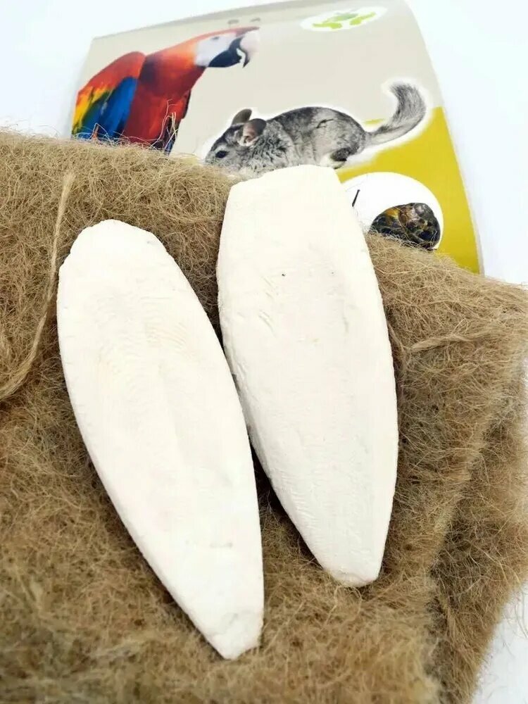 Сепия панцирь каракатицы 10 см без держателя