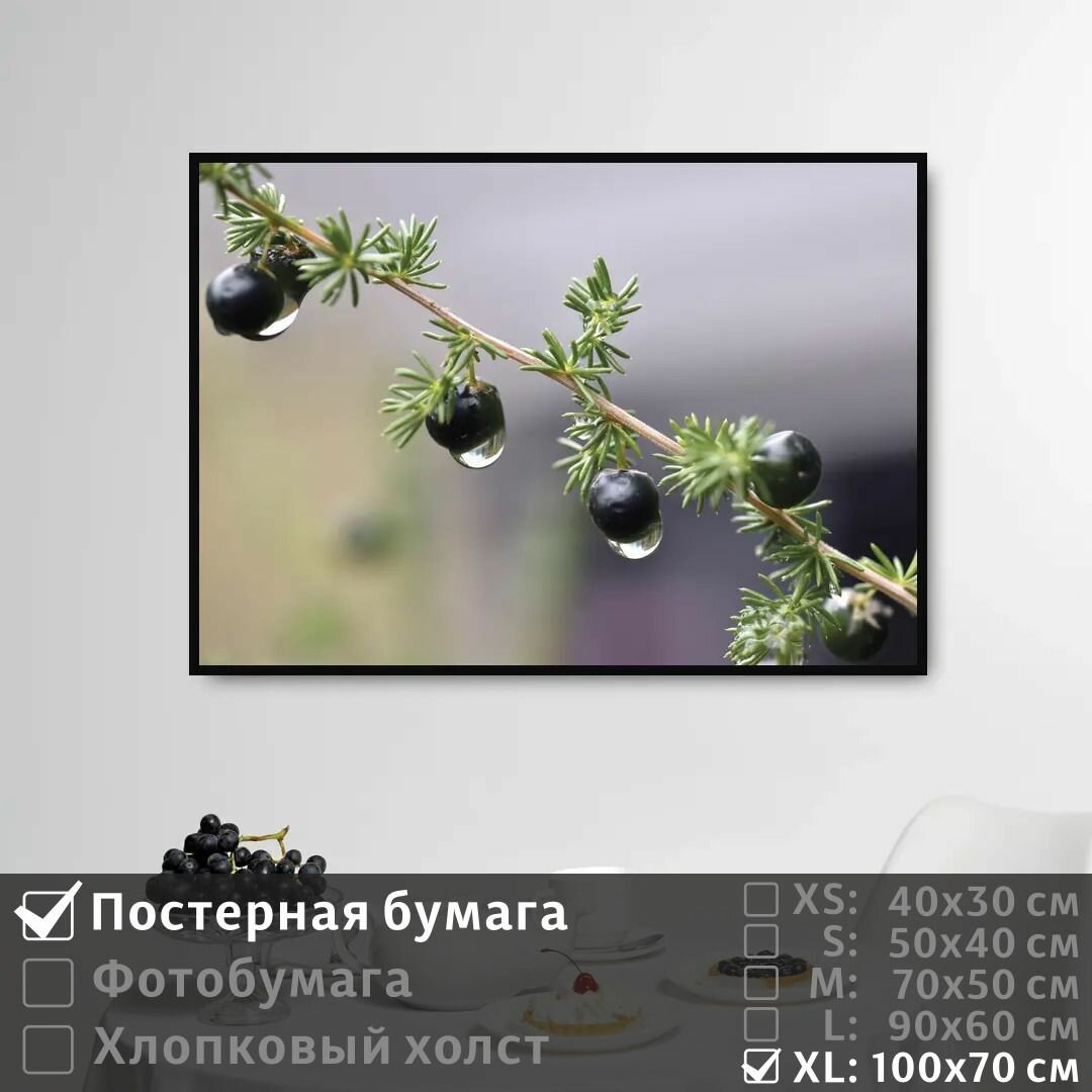 Постер на стену Ветка С Ягодой После Дождя 100х70 см ПолиЦентр