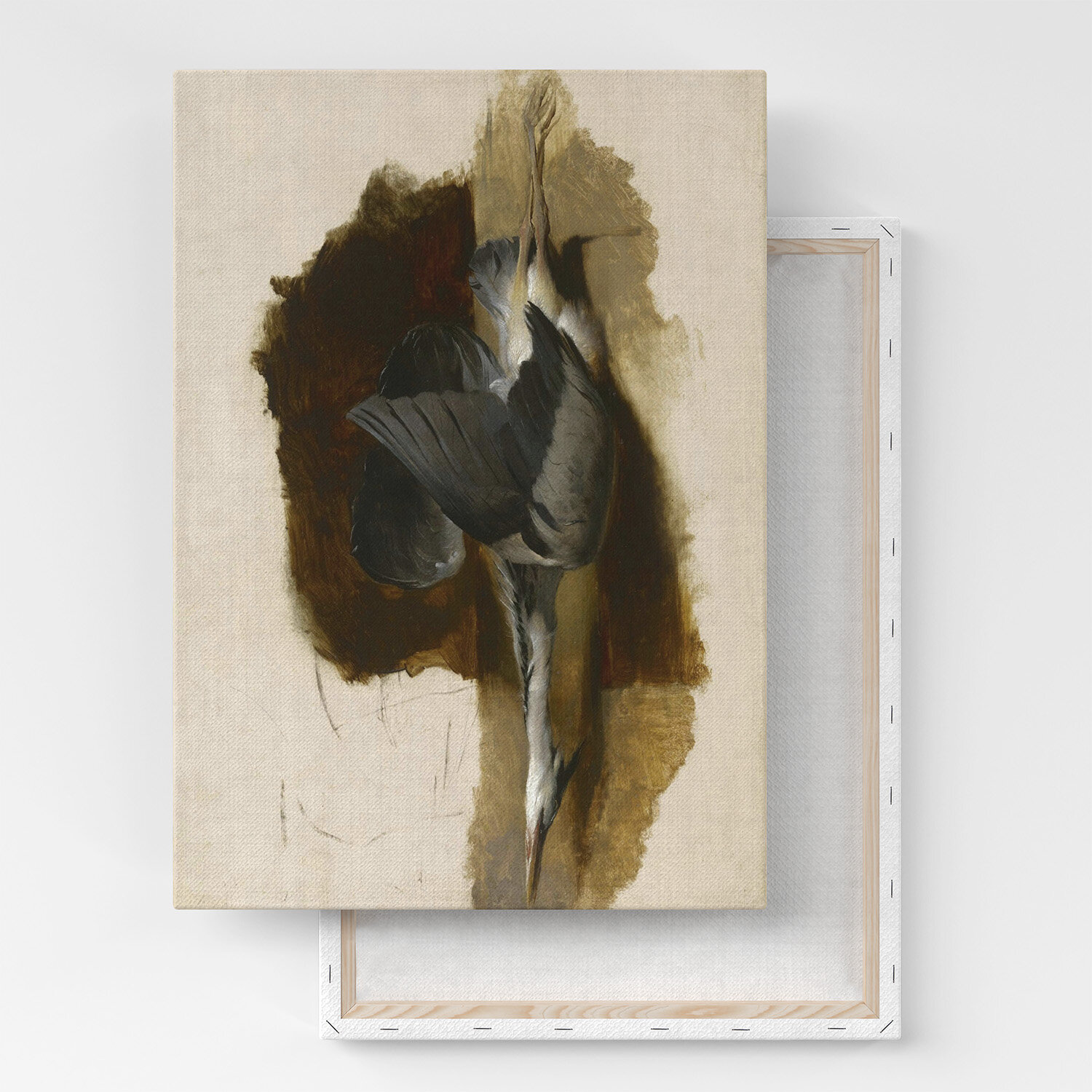 Картина на холсте, репродукция / Эдвин Ландсир - Study of a Dead Heron / Размер 30 x 40 см