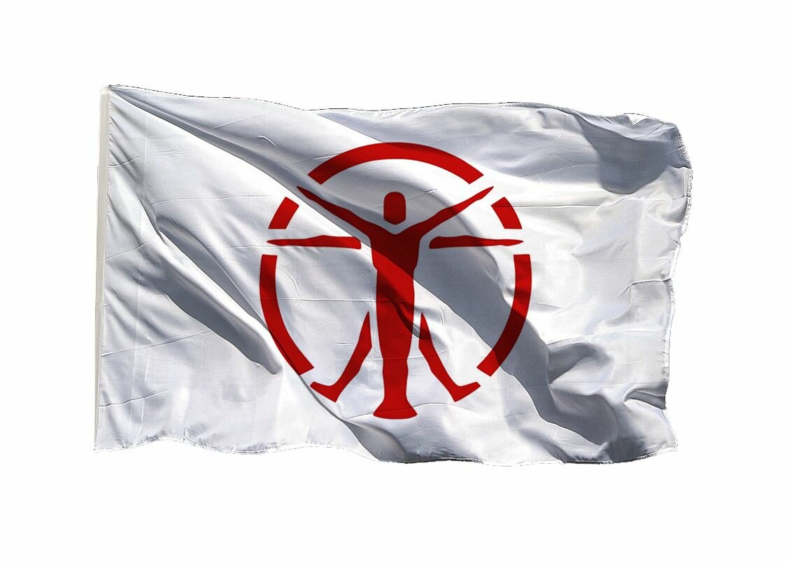 Флаг Института из Fallout Фоллаут 90х135 см на шёлке для ручного древка