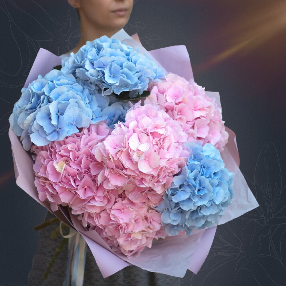 Классический букет из 7 гортензий микс в корейской пленке от 2name Flowers