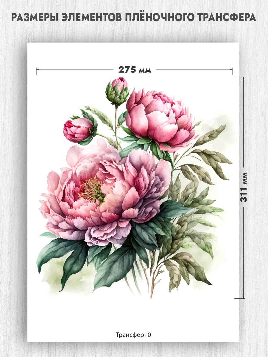 Трансфер для декупажа переводной рисунок для поверхностей пион 10 (А3)