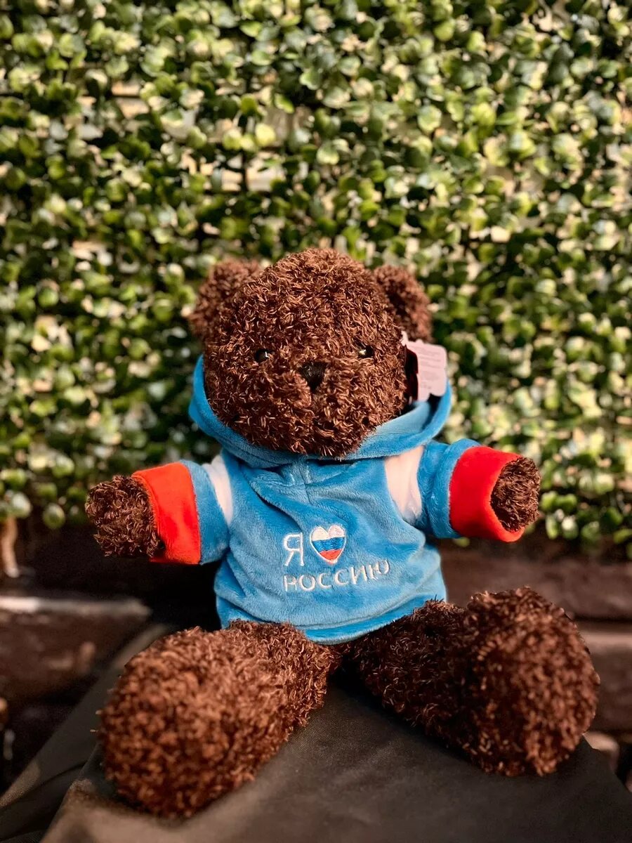 Мягкая игрушка. Мишка-патриот. Мягкий друг с большим сердцем!