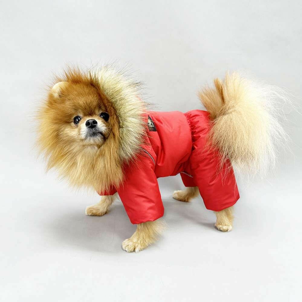 Комбинезон, одежда для собак мелких и средних пород, пуховик для животных (девочек) Аляска