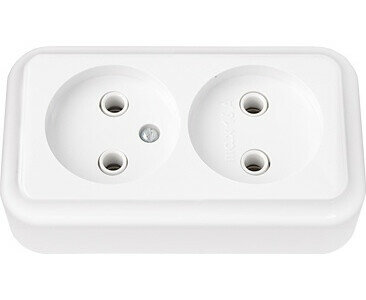 Розетка 2-ая (открытая, б/з) белая, Пралеска, Bylectrica (без монтажной панели) (РА16-238) (BYLECTRICA)