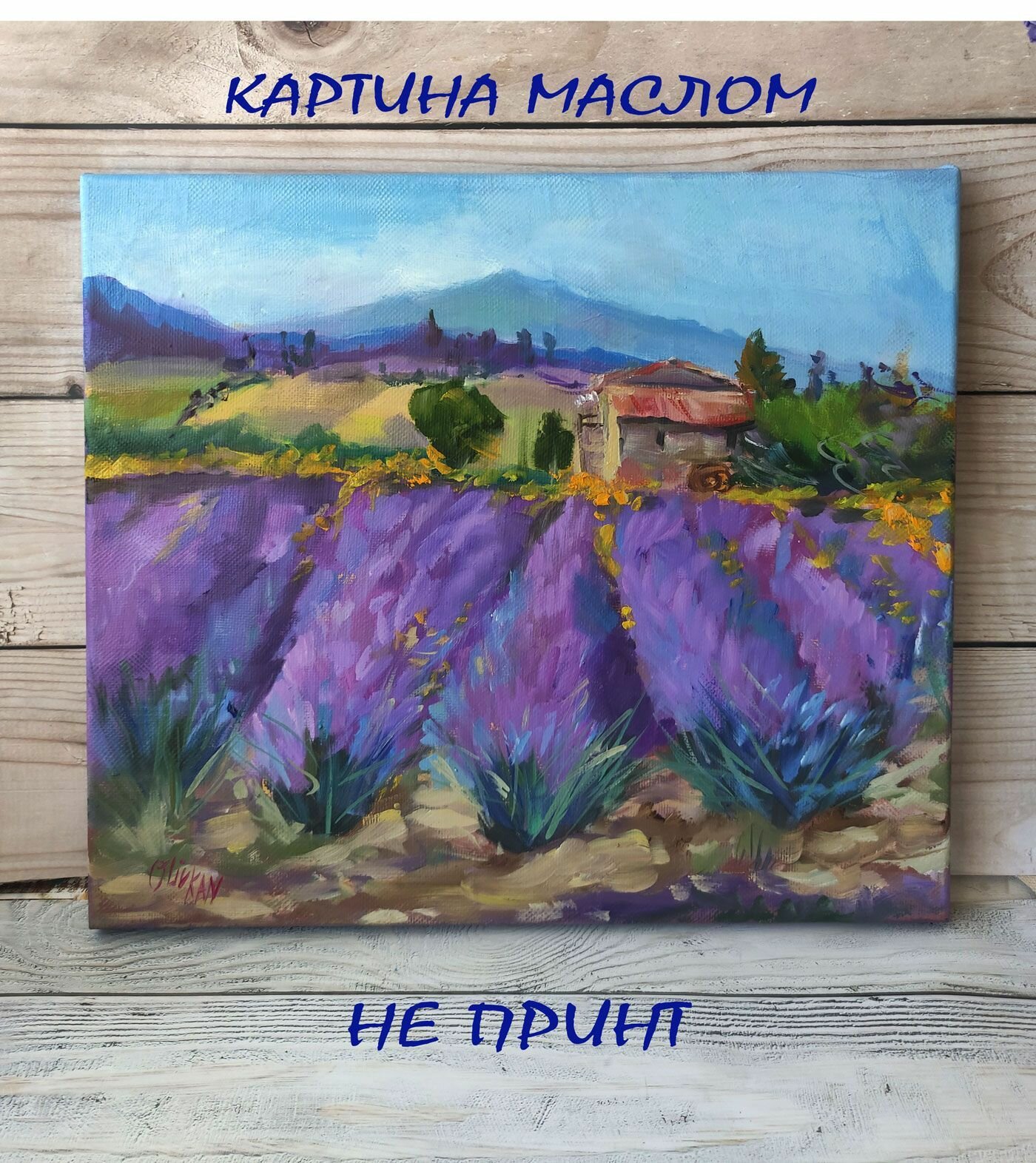 Картина Прованс, Лавандовые поля картина маслом, 35 х40 см