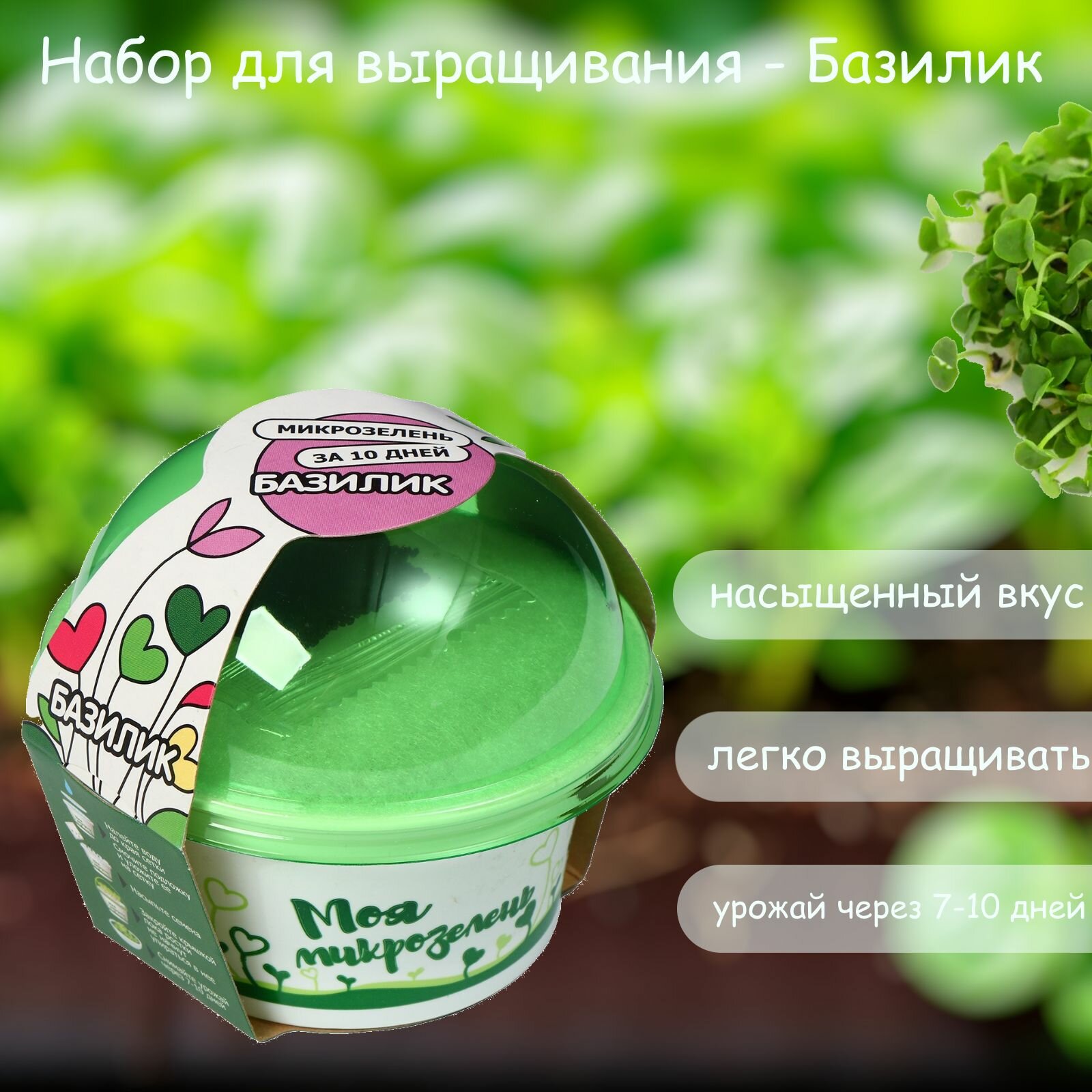 Набор для выращивания Моя микрозелень, базилик