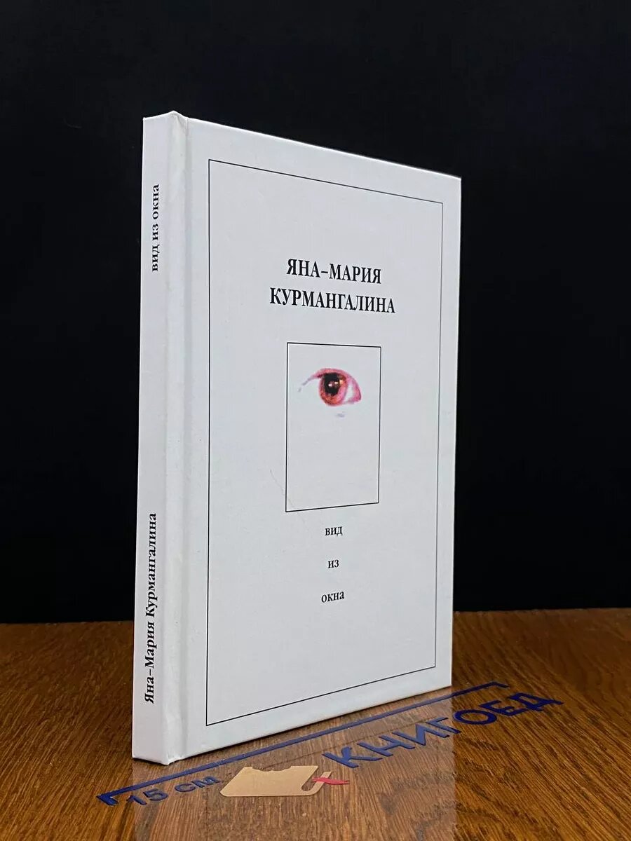 Книга. Вид из окна 2008 (2040955470372)