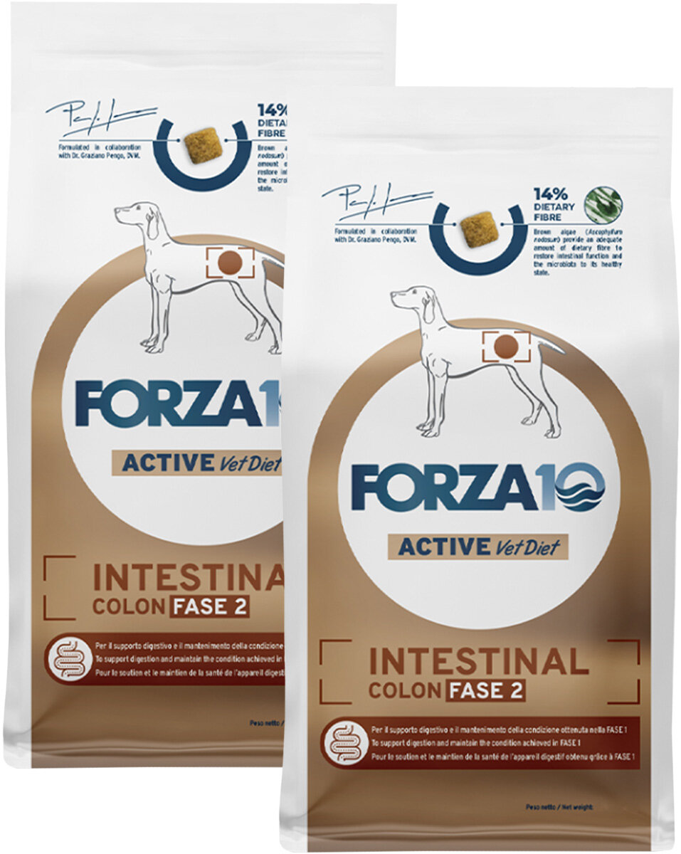 FORZA10 DOG INTESTINAL COLON FASE 2 ACTIVE для взрослых собак всех пород для профилактики колитов и заболеваний желудочно-кишечного тракта (4 + 4 кг)
