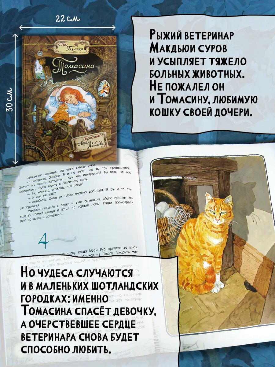 Томасина — фото 1