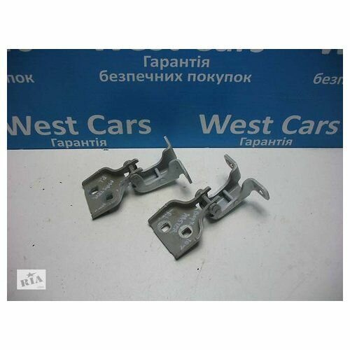 Петля двери Renault 804000006r