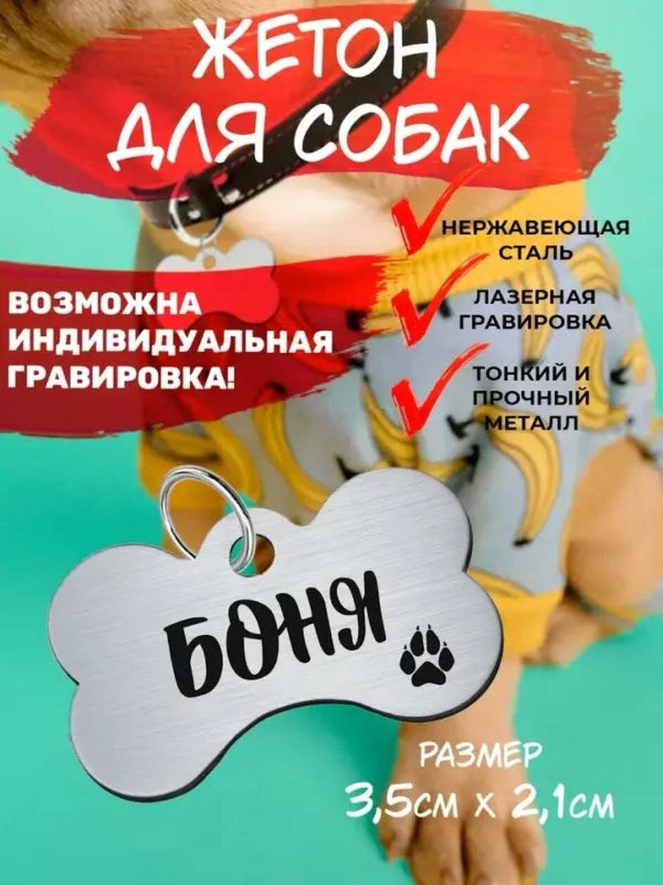 Адресник для собаки с гравировкой, нерж. сталь, серебристый, Боня